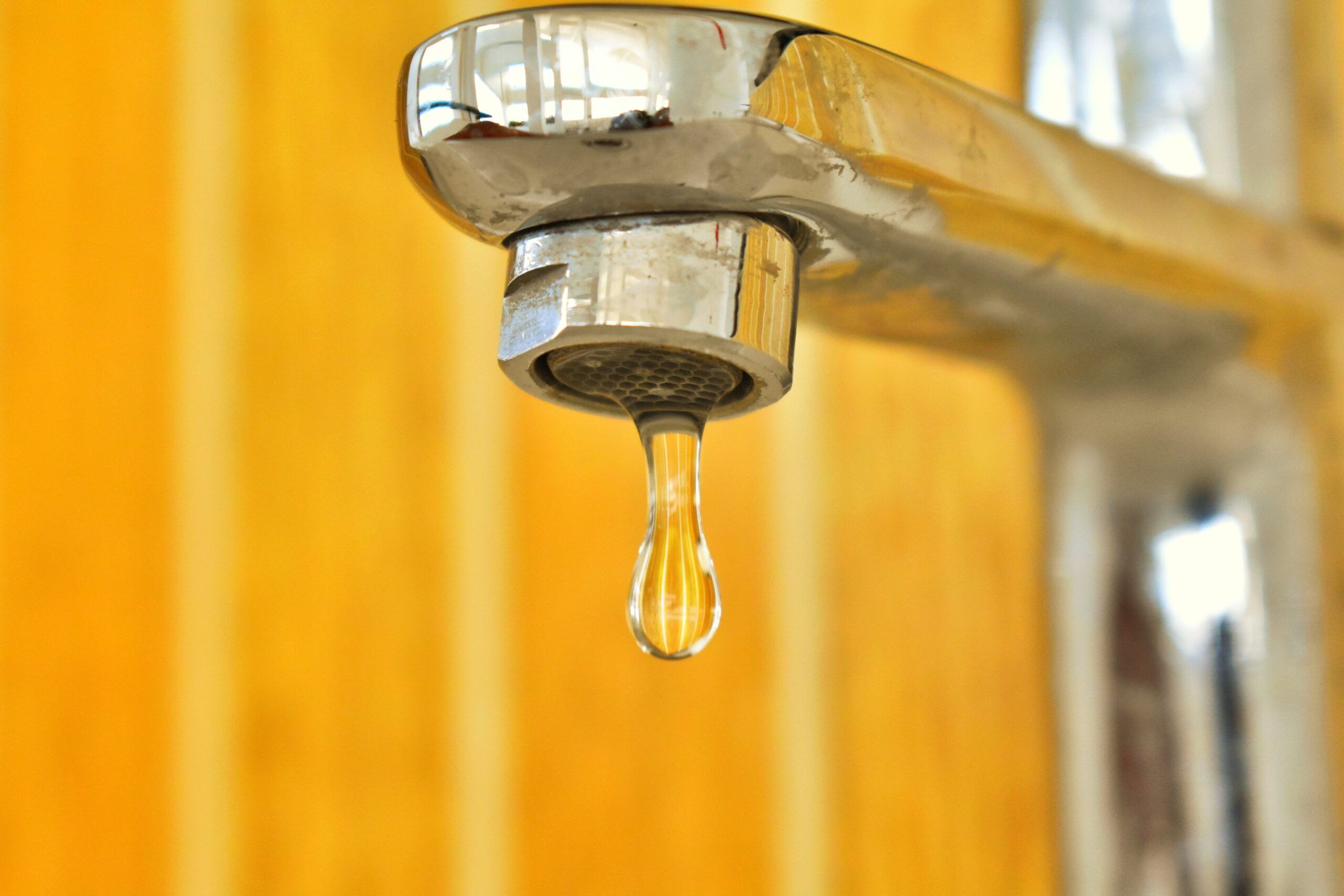 Domestic Water Services Disinfections – Balcomm